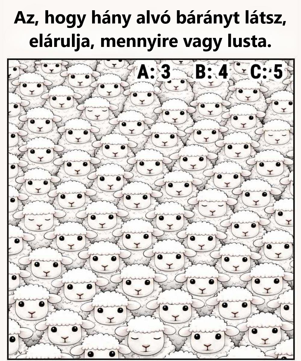 A látott alvó bárányok száma elárulja, mennyire figyelsz (nem azt, hogy ...